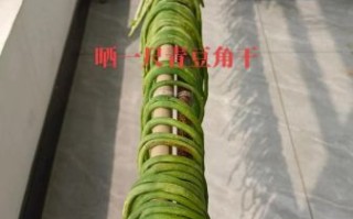 豆角干怎么晒_晒豆角干要不要焯水