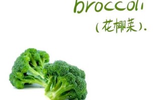 花菜英文怎么说_花菜英文怎么写