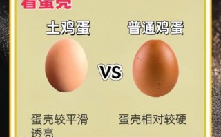 农村土鸡蛋多少钱一斤_农村土鸡蛋怎么辨别真假