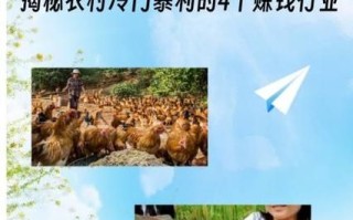 冷门暴利养殖业有哪些_如何快速回本