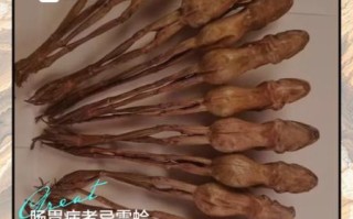 哈士蟆读音_哈士蟆怎么读