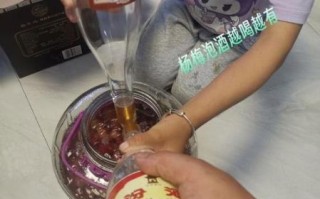 一斤杨梅泡几斤白酒_杨梅酒比例怎么配