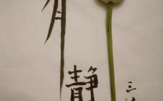 藕断丝连图片_情感寓意是什么