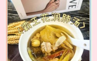 霸王花鸡汤的功效与禁忌_霸王花鸡汤孕妇能喝吗