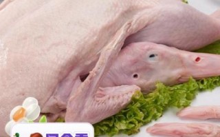 鸭肉和什么蔬菜相克_吃鸭肉不能配哪些菜