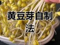 在家怎么做黄豆芽_黄豆芽发芽温度多少合适