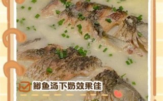 鲤鱼下奶汤怎么做_下奶汤用什么鱼最好