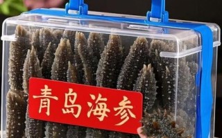 鲜海参多少钱一只_鲜海参价格怎么算