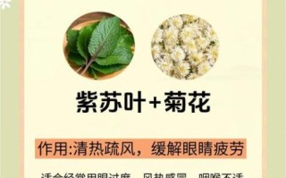 鲜紫苏叶的功效与作用_鲜紫苏叶怎么吃最好