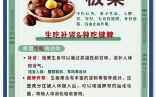 板栗能增肥吗_吃板栗会不会长胖