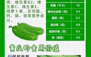 黄瓜的营养价值有哪些_吃黄瓜能减肥吗