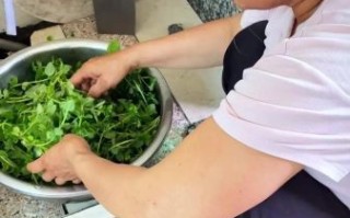 凉粉草的功效与作用_凉粉草怎么吃最好