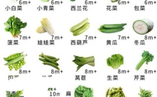蔬菜图片大全大图有哪些_如何快速识别蔬菜种类