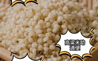 高粱米怎么吃才好吃_高粱米适合什么人吃