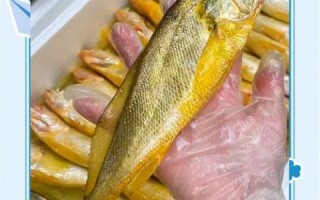 黄鱼和黄花鱼怎么区分_黄鱼和黄花鱼哪个贵