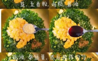 鸡蛋素饺子馅怎么做_鸡蛋素饺子馅大全食谱
