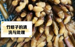 长竹蛏怎么做好吃_长竹蛏的家常做法