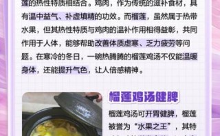 榴莲鸡汤的做法_榴莲鸡汤的功效