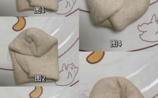 燕麦馒头怎么做_燕麦馒头用不用二次发酵