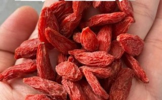 枸杞一次泡多少粒_枸杞泡水用量