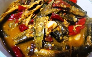 烧泥鳅怎么做好吃_家常烧泥鳅的做法