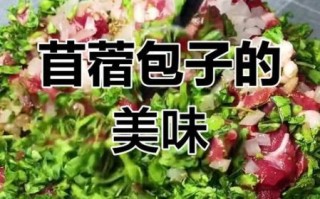 苜蓿素包子怎么做_苜蓿馅怎么调才好吃