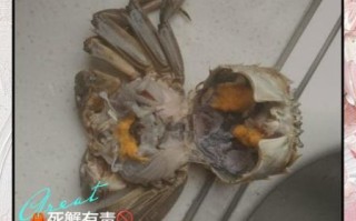 大闸蟹刚死能吃吗_如何判断刚死大闸蟹是否安全