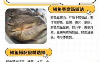 月子鲫鱼汤下奶的做法_鲫鱼汤怎么做下奶