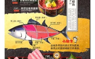 金枪鱼的营养价值_金枪鱼的功效与作用