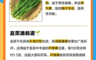 韭菜的功效与作用_韭菜的禁忌人群