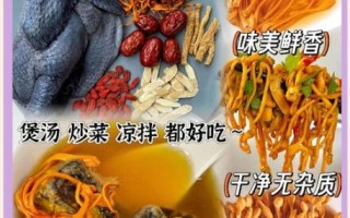 鲜虫草花怎么吃_鲜虫草花做法大全
