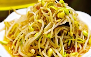 豆芽菜怎么炒好吃_家常豆芽菜的做法大全