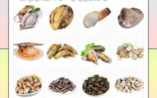 贝壳类大全有哪些_如何挑选新鲜贝壳