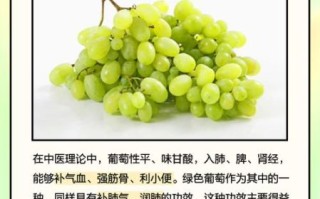 葡萄的功效与作用价值_吃葡萄能减肥吗