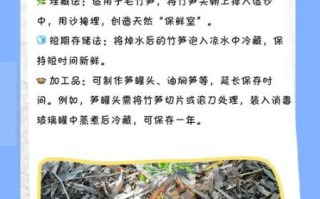 鲜竹笋怎么储存_鲜竹笋保鲜方法