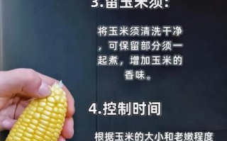 煮玉米怎么煮好吃又简单窍门_玉米煮多久才香甜