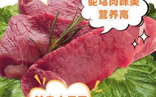 鸵鸟肉多少钱一斤_鸵鸟肉营养价值高吗