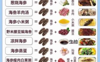 辽参的功效与作用_辽参适合什么人吃