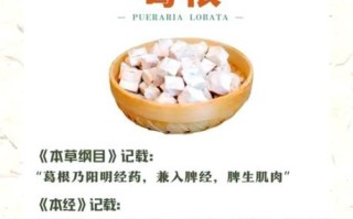 葛根粉有什么功效_葛根粉的作用与禁忌