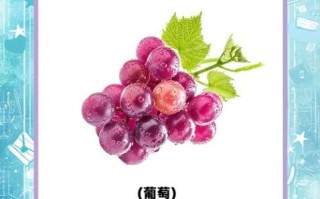 孕妇吃什么水果对胎儿好_孕期水果选择指南