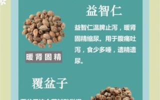 男人吃什么补肾好_肾虚吃什么食物最见效