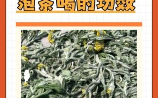 鼠曲草的功效与作用_鼠曲草可以治咳嗽吗