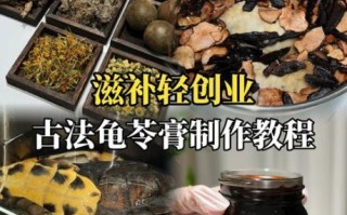 龟苓膏有乌龟成分吗_龟苓膏配方真相