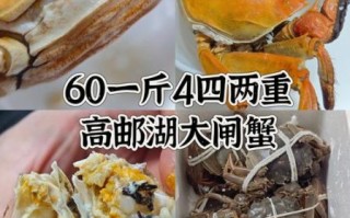 上海大闸蟹多少钱一斤_正宗阳澄湖价格行情