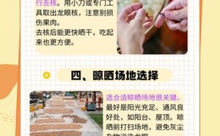 龙眼怎么晒干成桂圆_龙眼晒干要几天