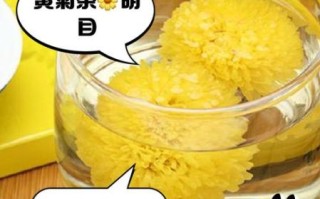 野菊花茶的功效与作用_野菊花茶能天天喝吗