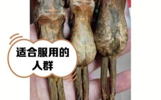 蛤蟆油怎么吃_蛤蟆油一天吃几次