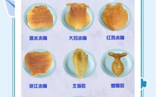 鱼胶的功效与作用_鱼胶的禁忌有哪些