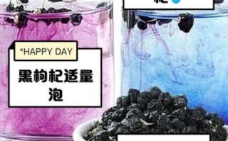 黑枸杞泡水有什么功效_黑枸杞泡水喝的正确方法