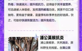 蒲公英能治疗哪些疾病_蒲公英根泡水喝的功效